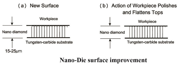 Nano Die